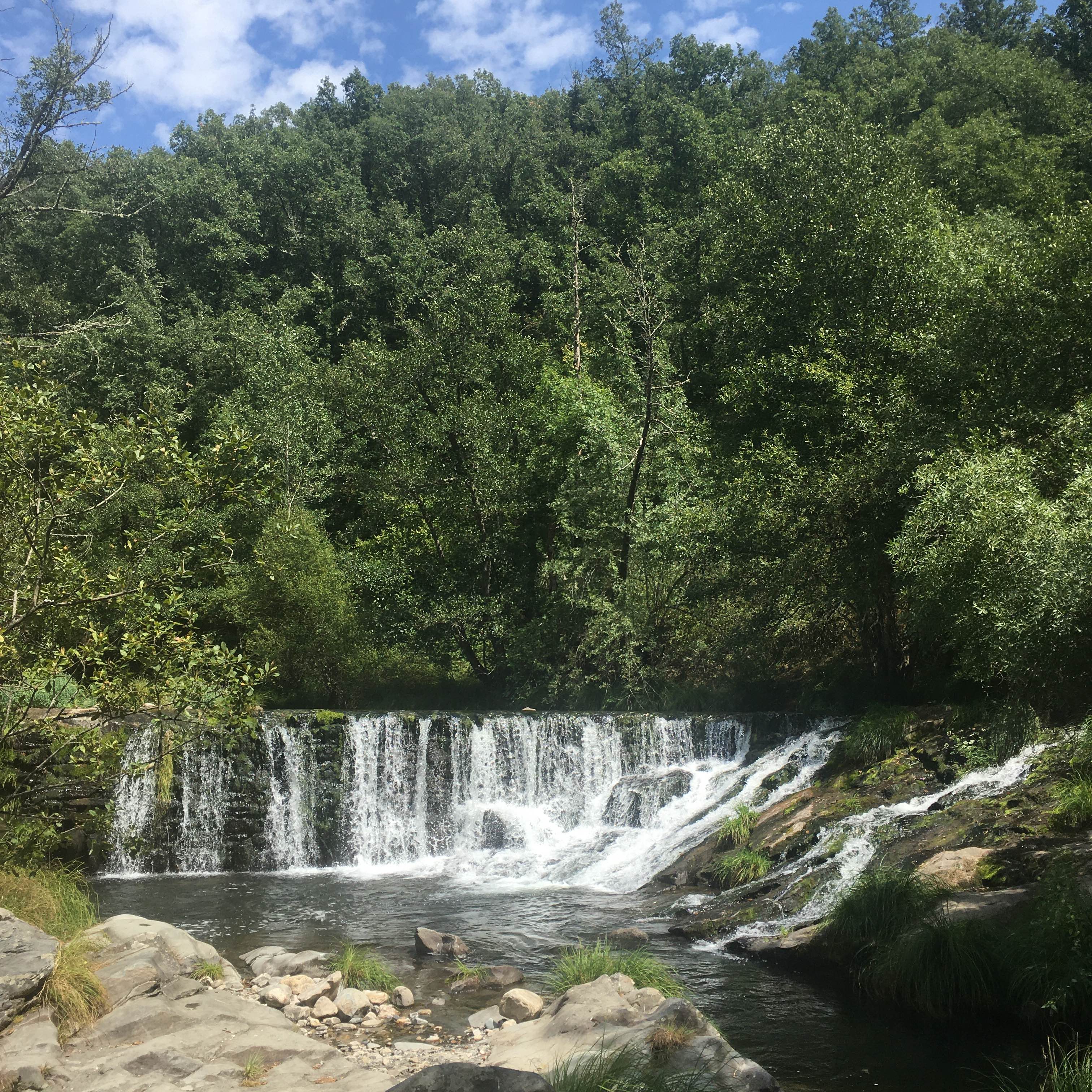 Ficción Archives | Letras Libres