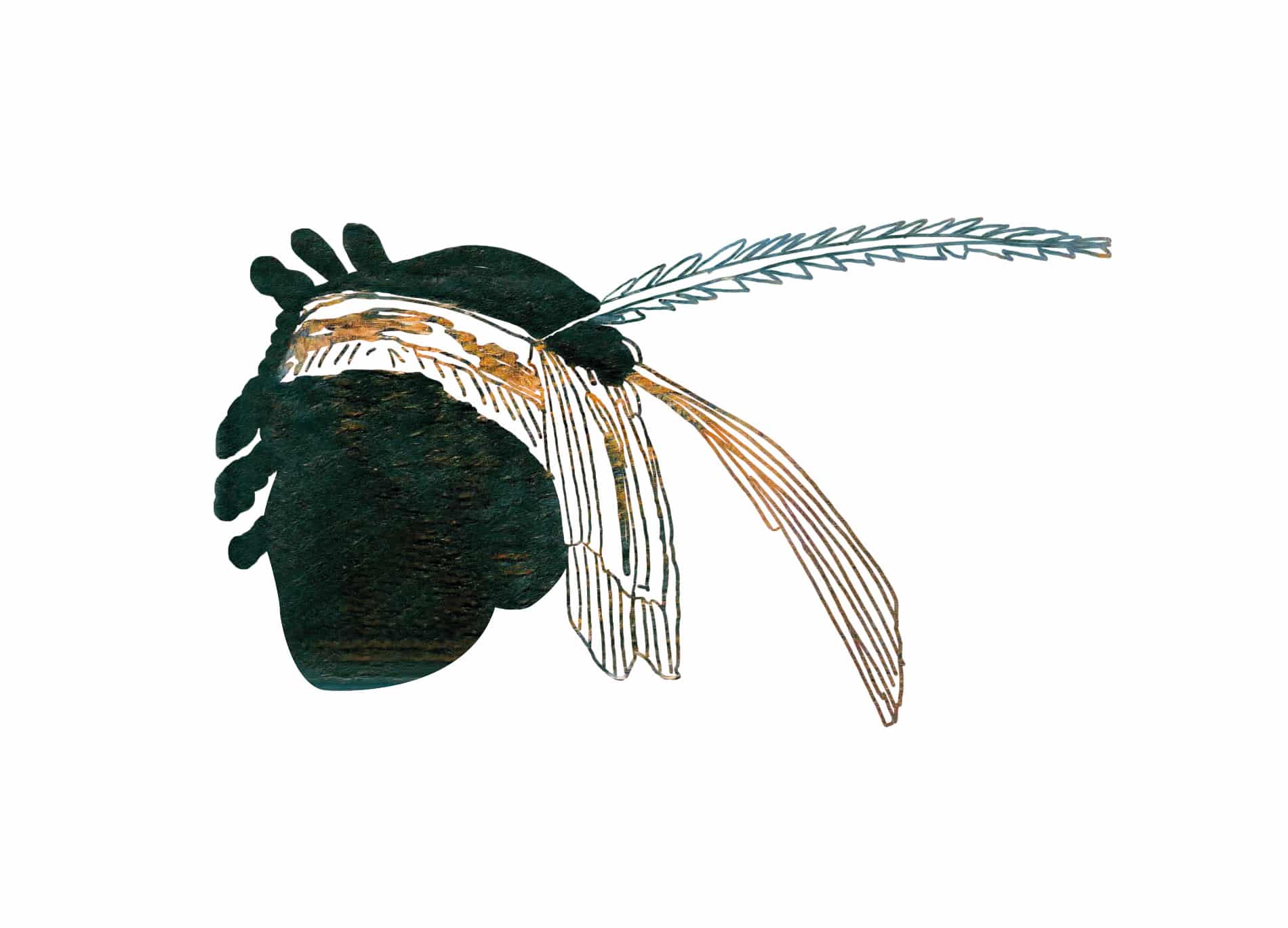 Mascogos | Letras Libres