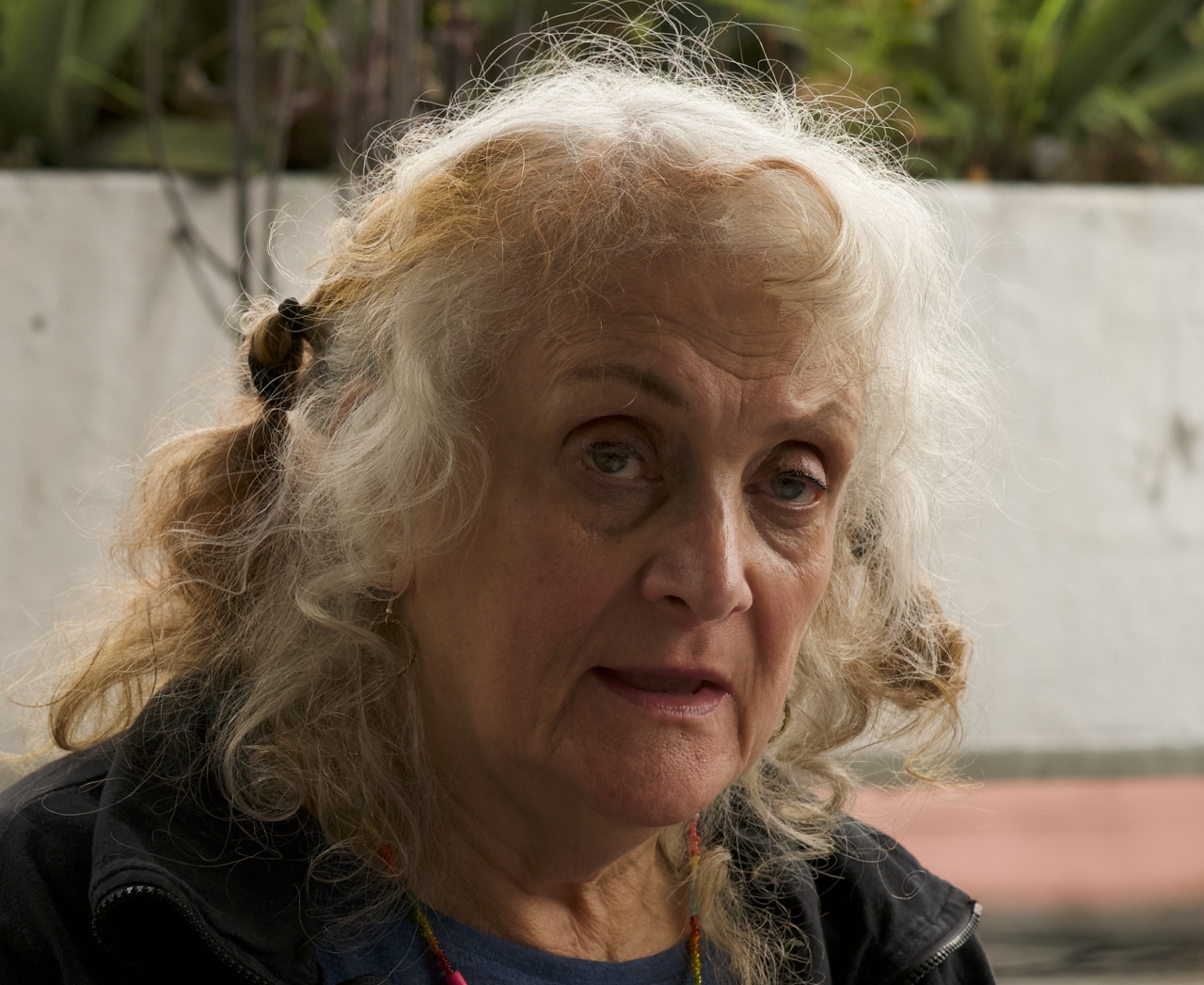 El águila y el gusano’ es el país en que vivimos.” Entrevista a Guita ...