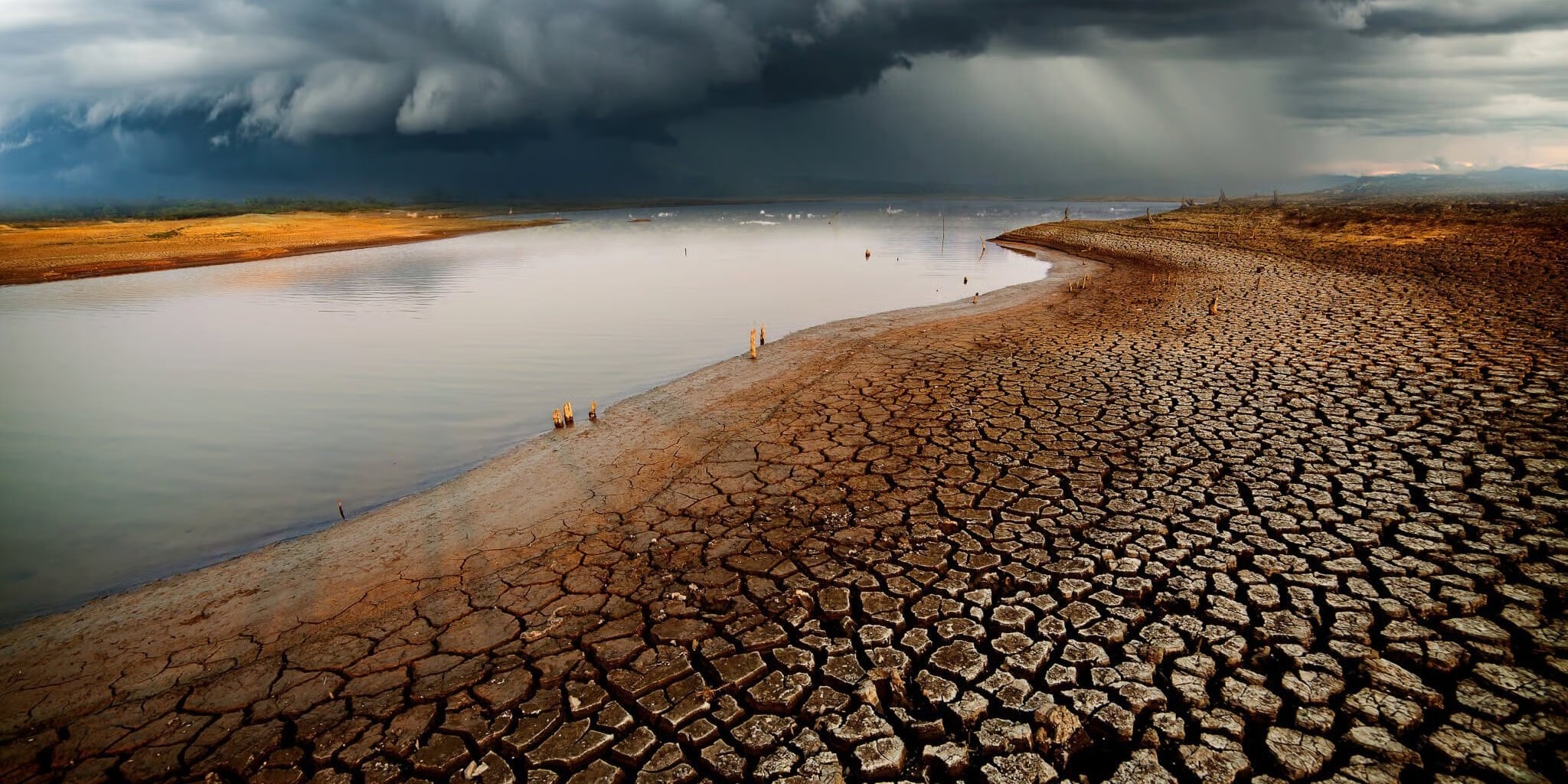 The estranged earth in Latin American science fiction | Letras Libres